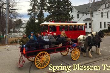 Spring Blossom Tour | Door County Trolley